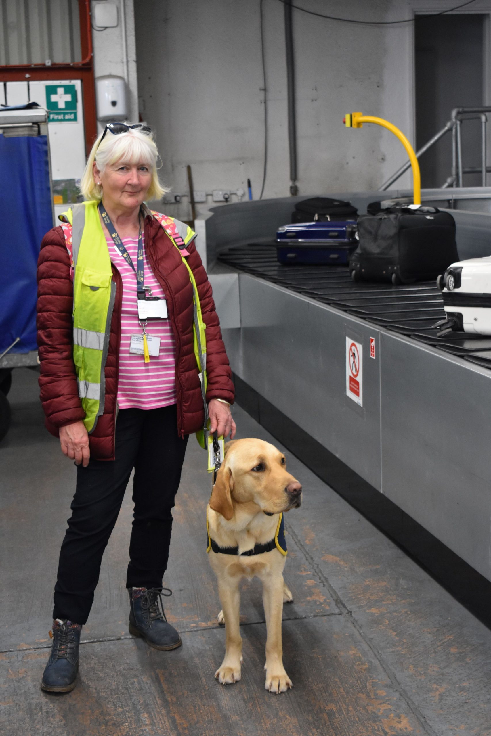 Guide dog puppies' training gets off to a flying start at Exeter ...